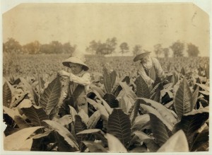 Farming in Clark County, Kentucky in 1916 required the help of the ...