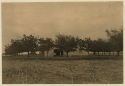 Extraordinary photographs from 1914 of immigrant families in west Texas ...