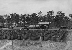 Turpentine, it’s hard and dangerous work as the photographs reveal ...