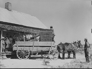 Stunning photos of rural life in Georgia in 1939, times were hard ...