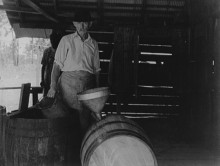 Turpentine, it’s hard and dangerous work as these vintage photographs ...