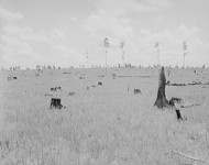 These are remarkable photographs of people in rural Georgia from 1937 ...