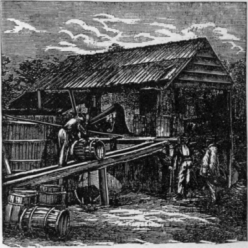 Turpentine, it’s hard and dangerous work as the photographs reveal ...