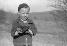 Great photographs of Kempton coal miners of Maryland-West Virginia from ...