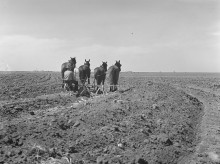 Amazing film and pics! – Ropesville, Texas residents tell about life in ...