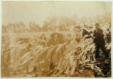 Farming in Clark County, Kentucky in 1916 required the help of the ...